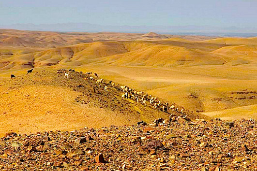 Agafay Desert Day Trip from Marrakech